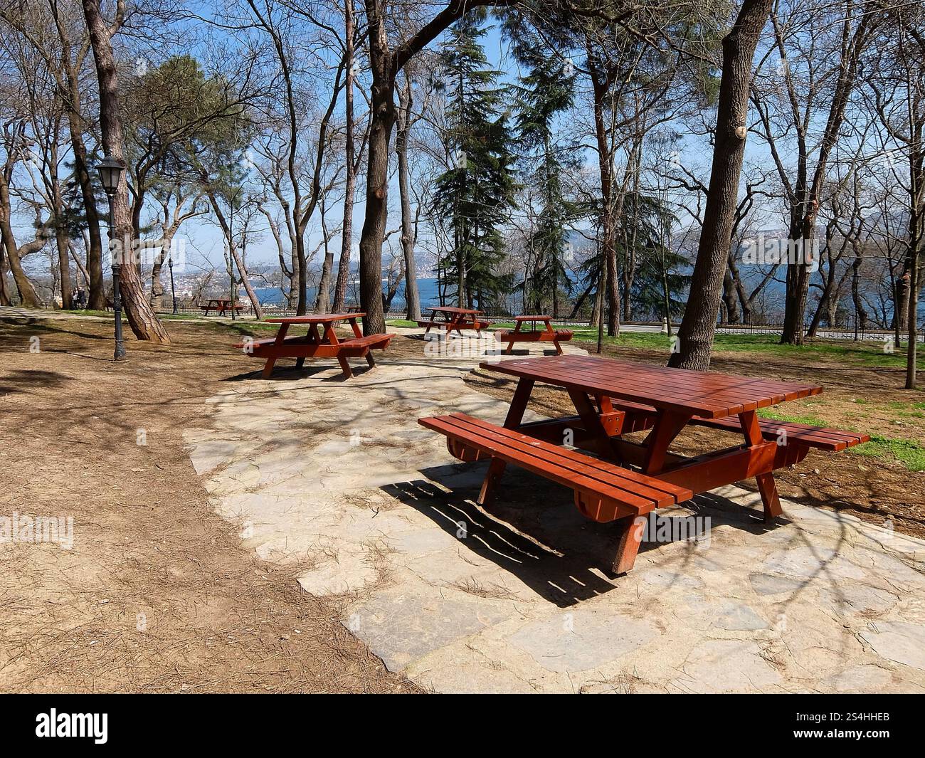 Empty wooden tables and benches in a park. Wooden picnic tables and ...