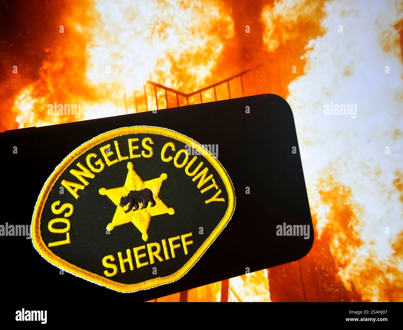 Los Angeles, California, USA. 12th Jan, 2025. Emblem of the Los Angeles ...