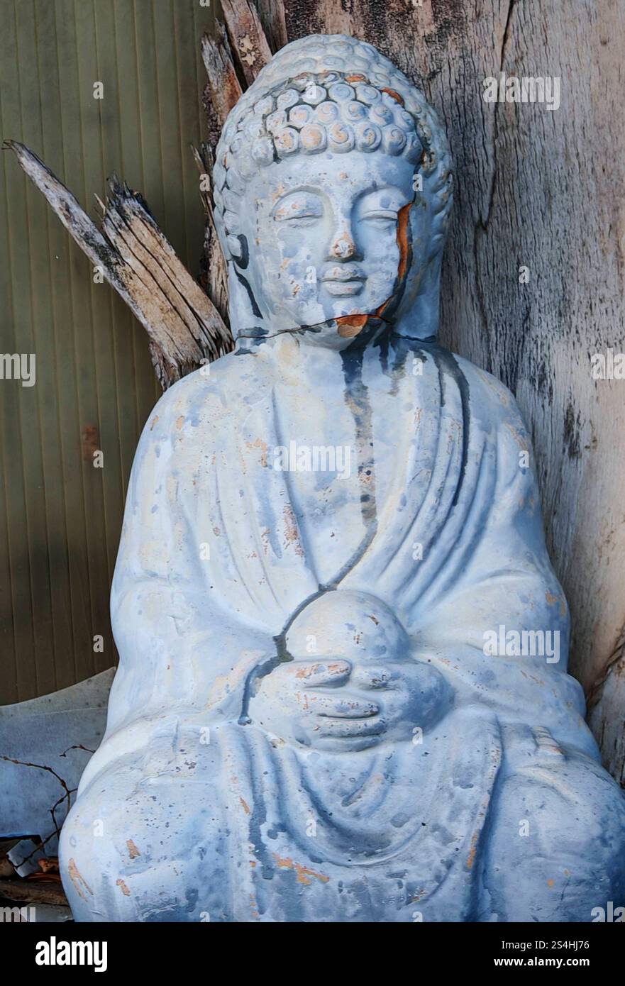 a statue of buddha, founder of the religion of buddhism statue of ...