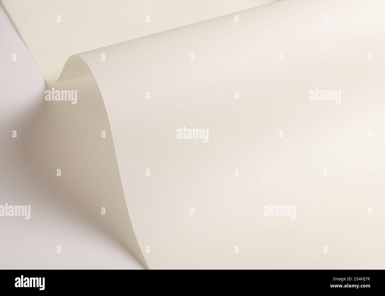 Ivory white paper background with a smooth, matte texture and gentle ...