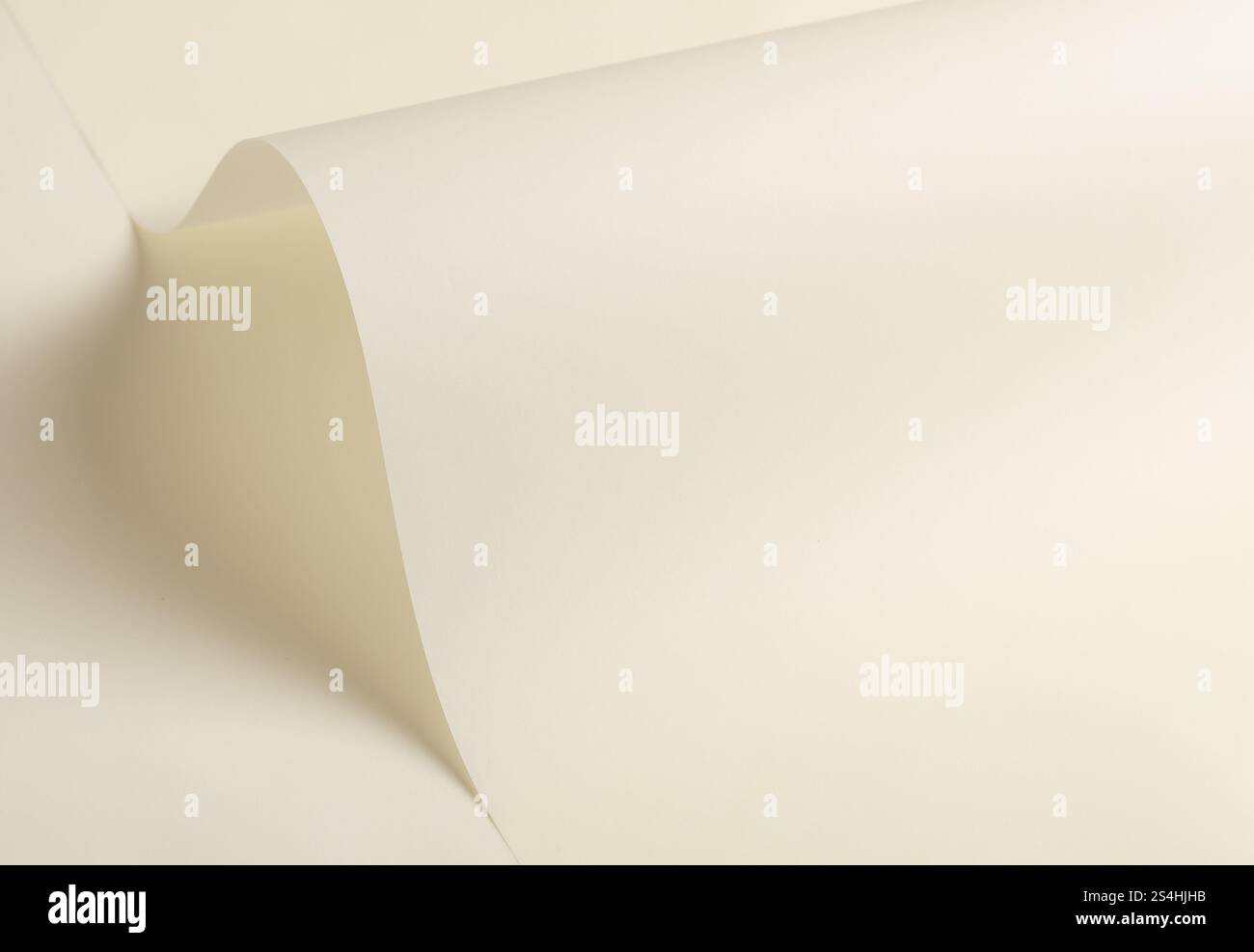 Soft ivory paper background with flowing curves and a smooth, matte texture. Subtle beige tones ...