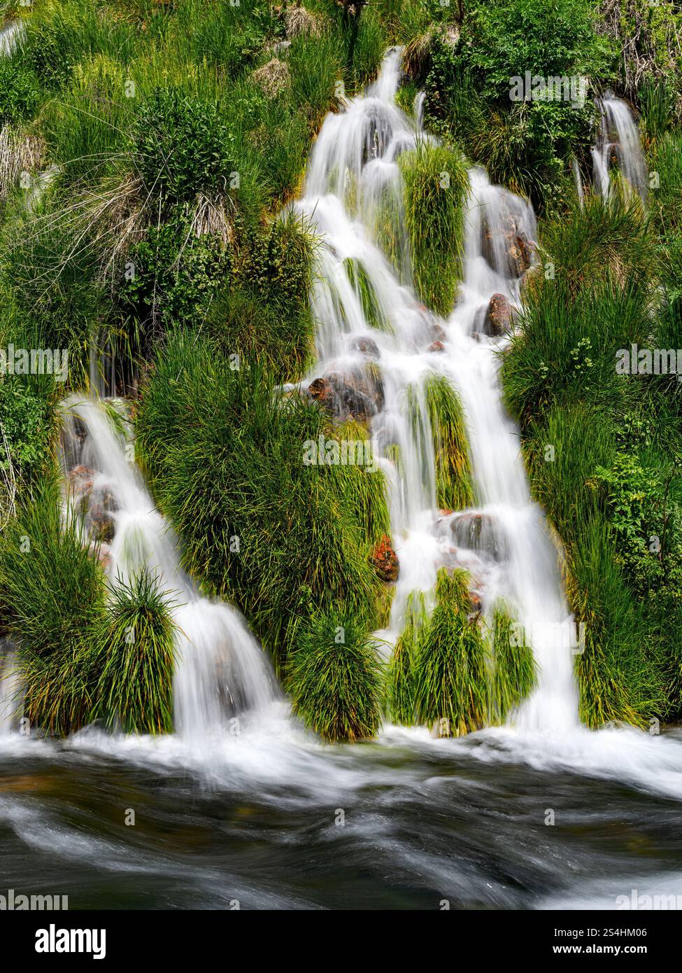 Lush green grass and small spring flows from mountainside Stock Photo ...