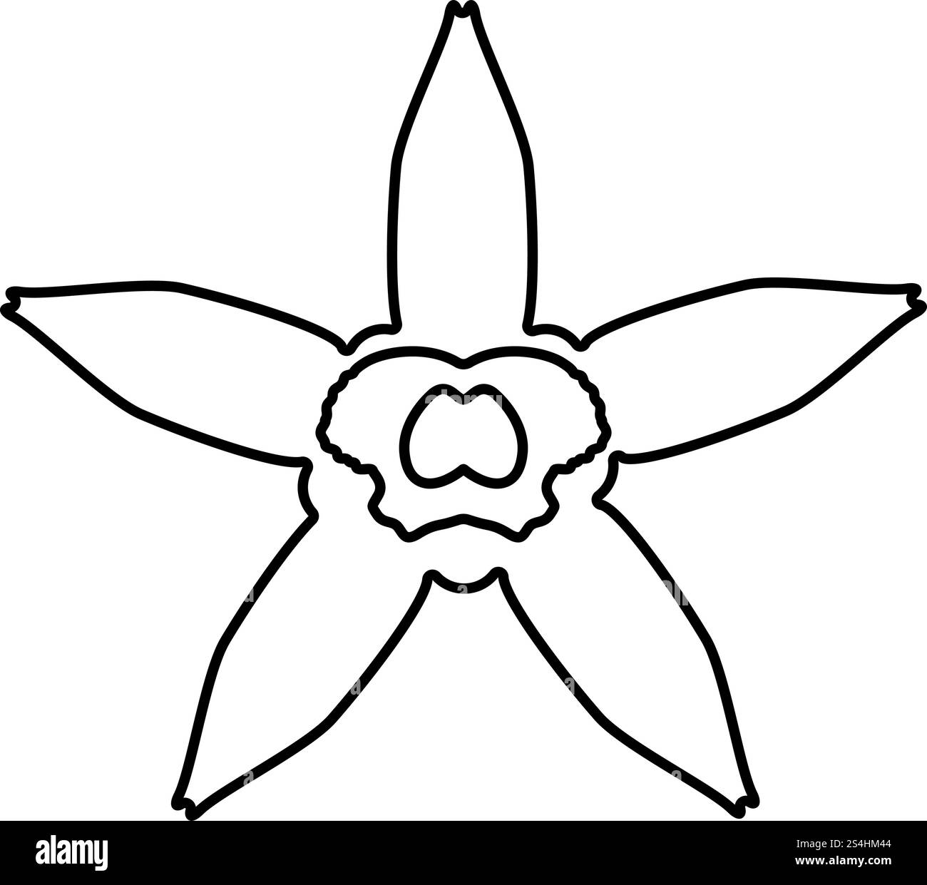 Vanilla flower icon outline black color vector illustration flat style ...