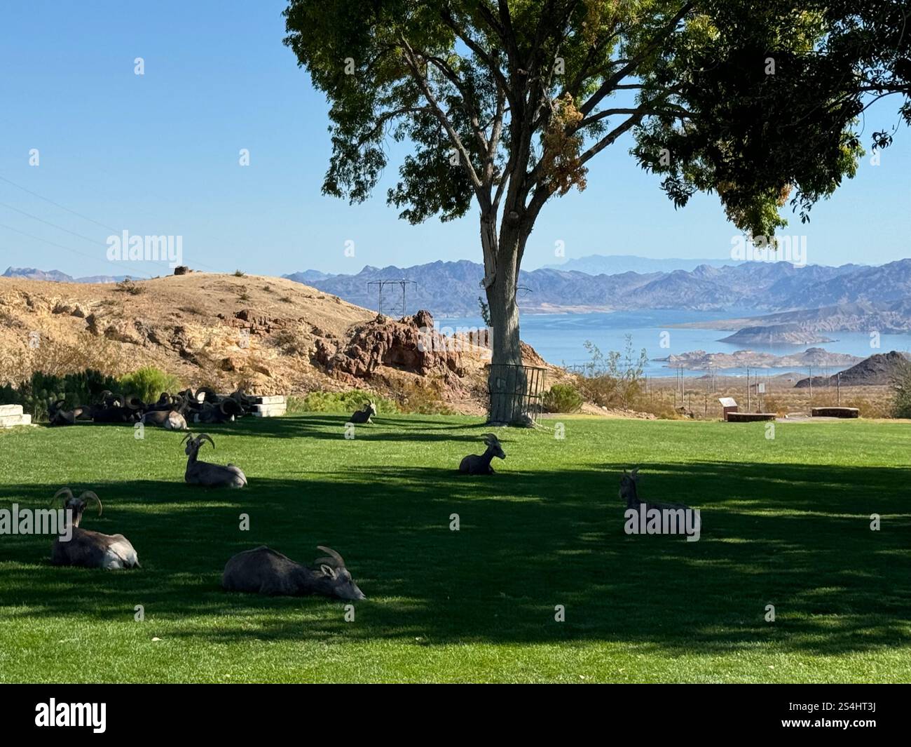 Henderson rocks hi-res stock photography and images - Alamy