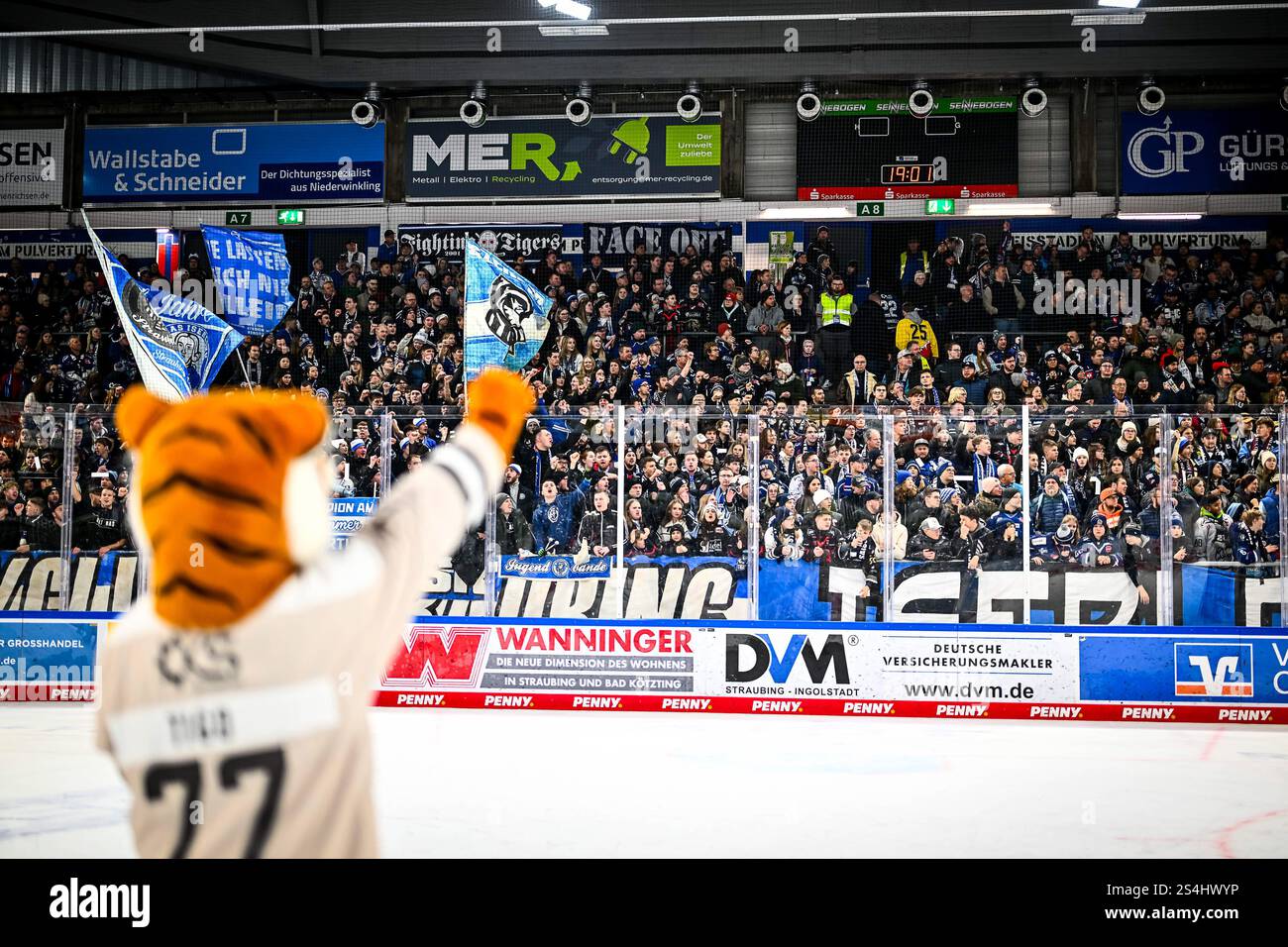 Feature, Symbolfoto, Straubing Tigers, Stehplätze, Fans, Heimfans, GER ...