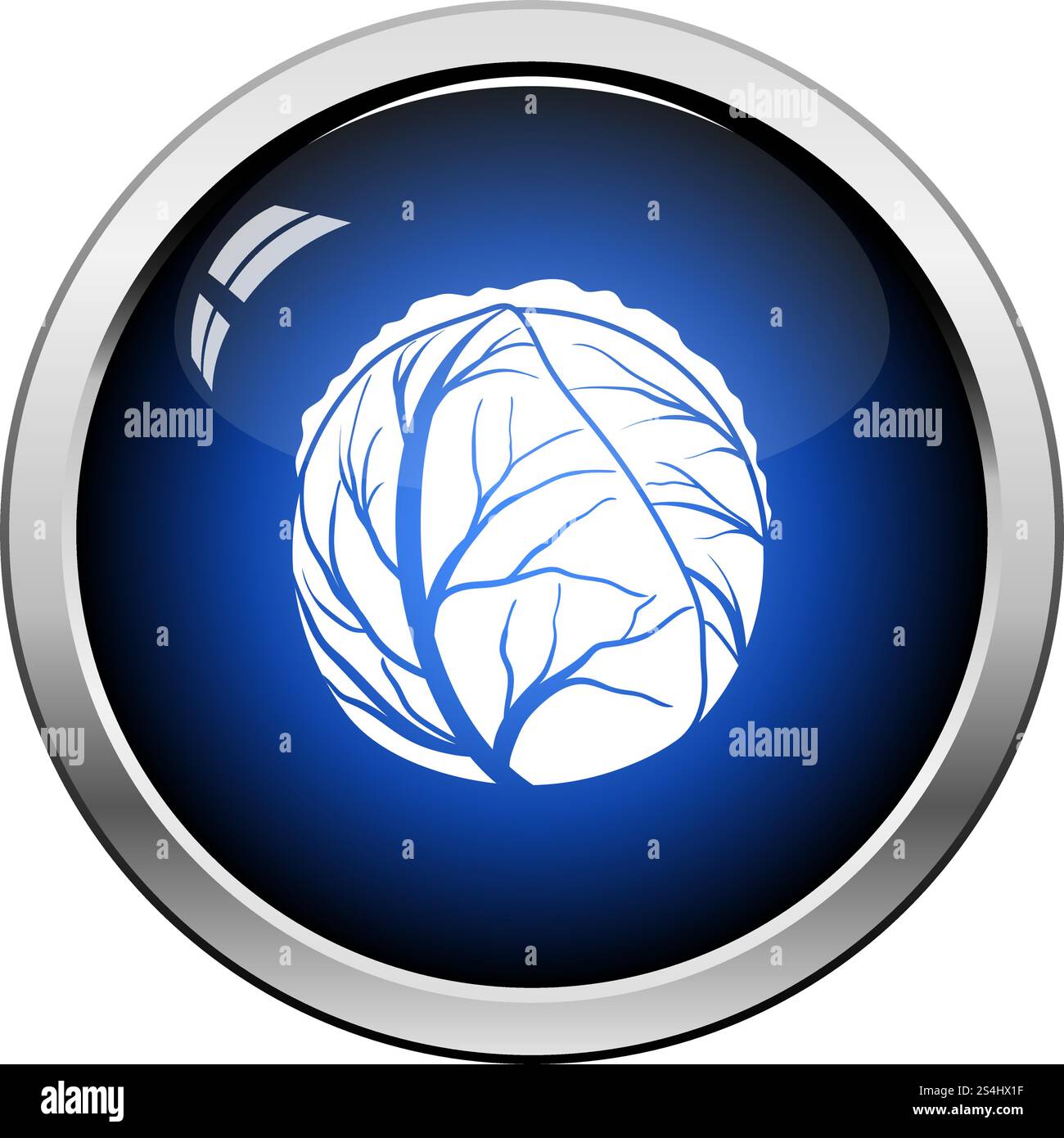 Cabbage Icon. Glossy Button Design. Vector Illustration Stock Vector ...
