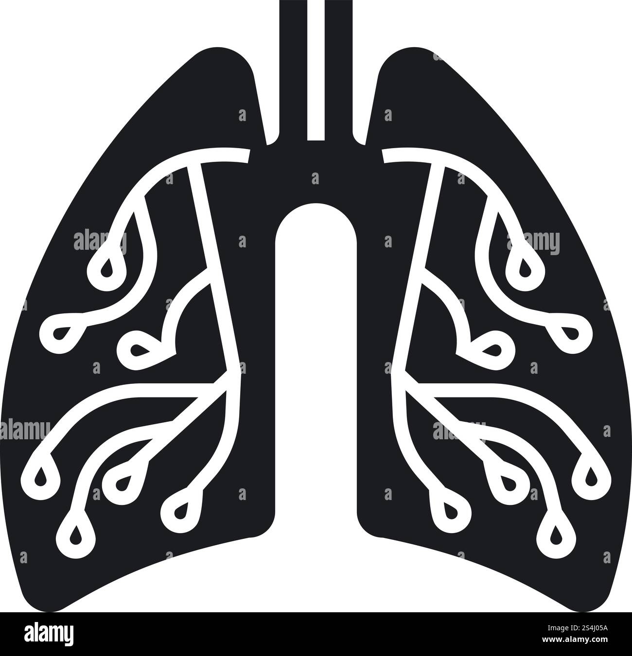 Human body anatomy, lungs and cough Cut Out Stock Images & Pictures - Alamy