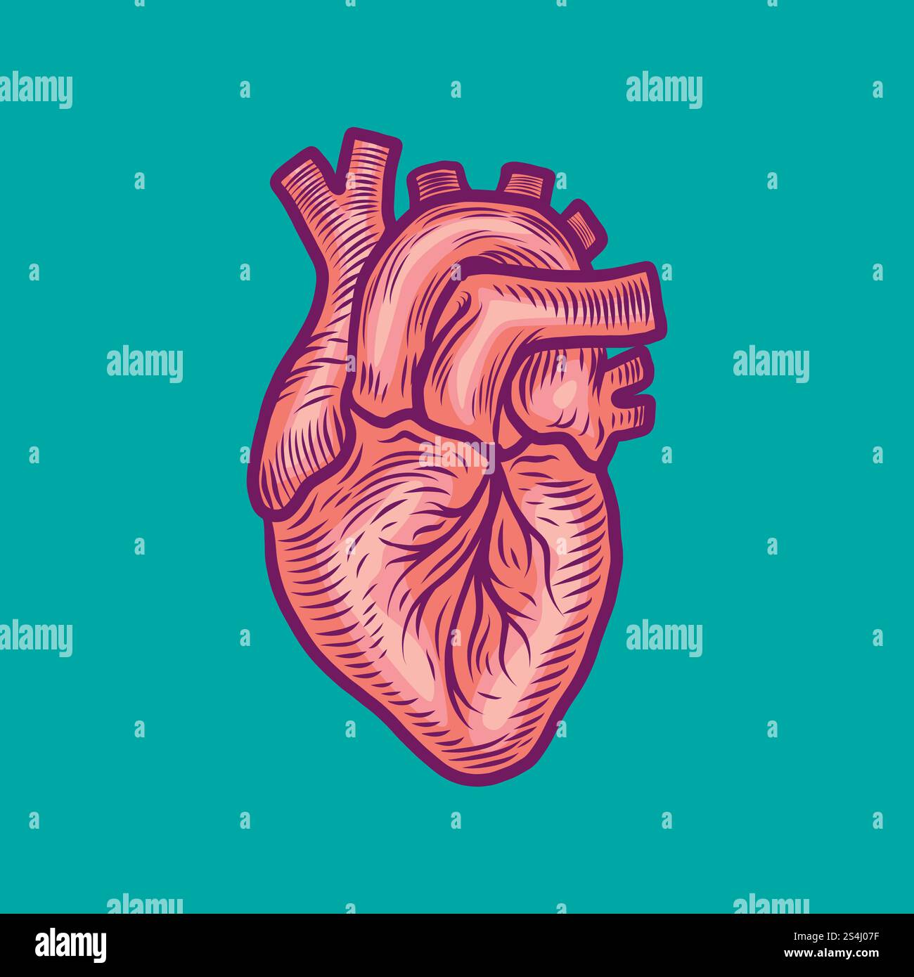 Anatomical heart icon. Hand drawn illustration of anatomical heart ...