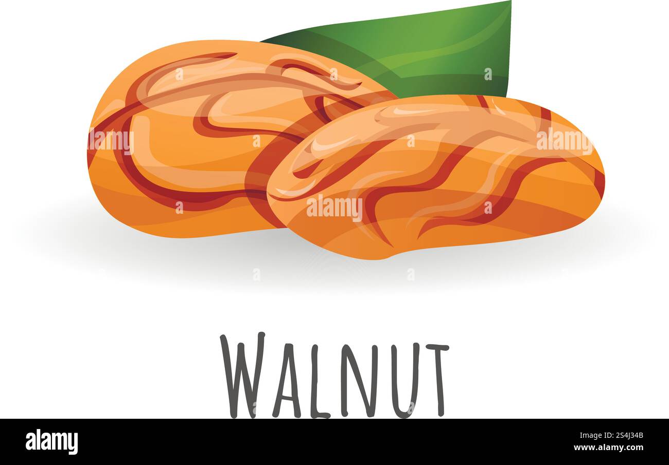 Walnut icon. Cartoon of walnut vector icon for web design isolated on ...