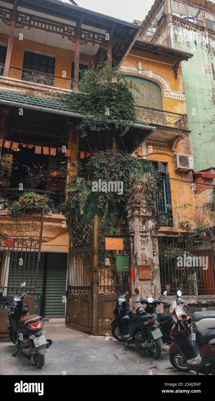 Charming Urban Scene Featuring Lush Greenery and Colorful Motorbikes in ...