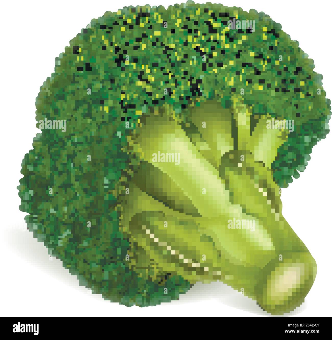 Eco broccoli icon. Realistic illustration of eco broccoli vector icon ...