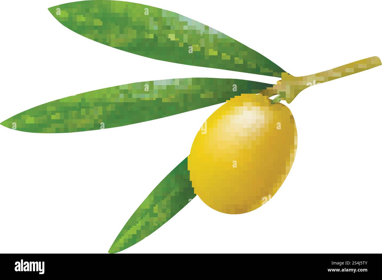 Green greek olive icon. Realistic illustration of green greek olive ...