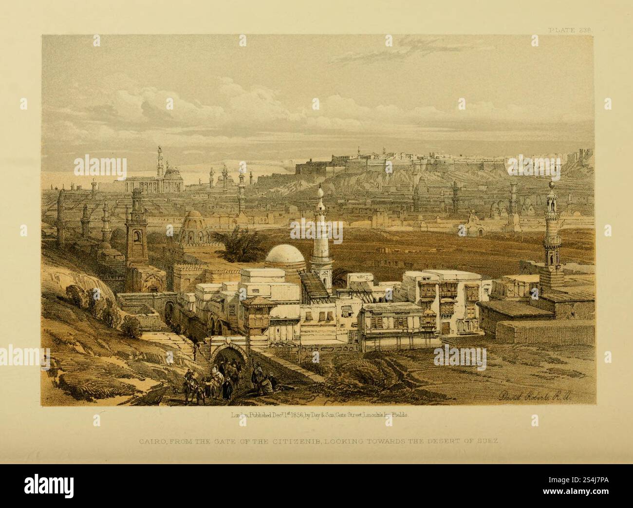 Cairo from the Gate of the Citizenib, looking towards the desert of ...