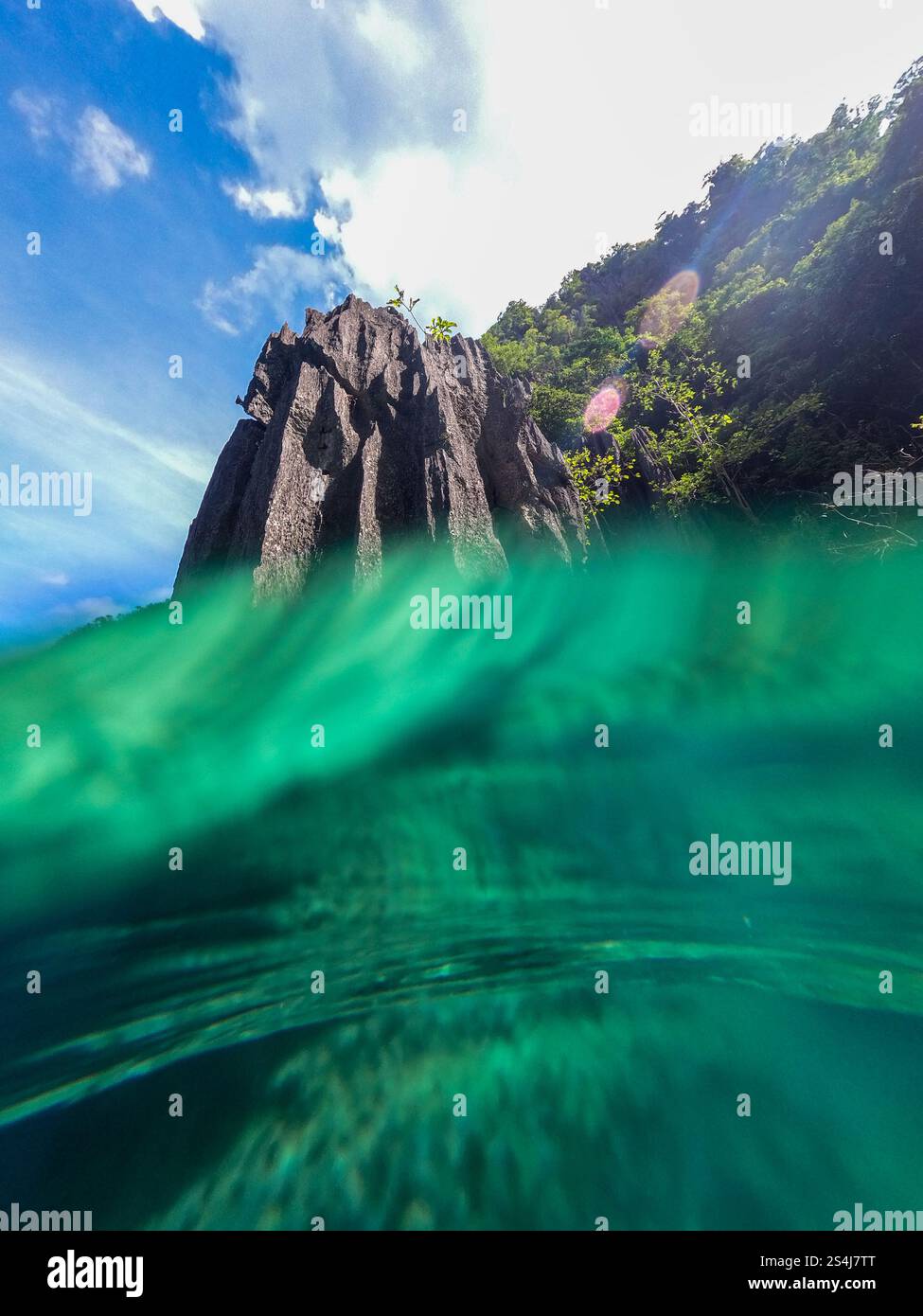 Serene underwater view showcasing hi-res stock photography and images ...
