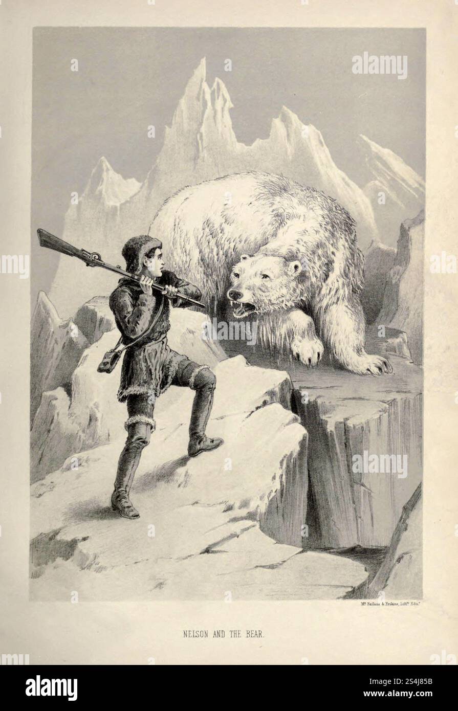 Vintage illustration of Young Haratio Nelson fighting a Polar bear in ...