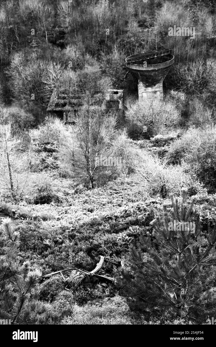 Orchid reserve Black and White Stock Photos & Images - Alamy