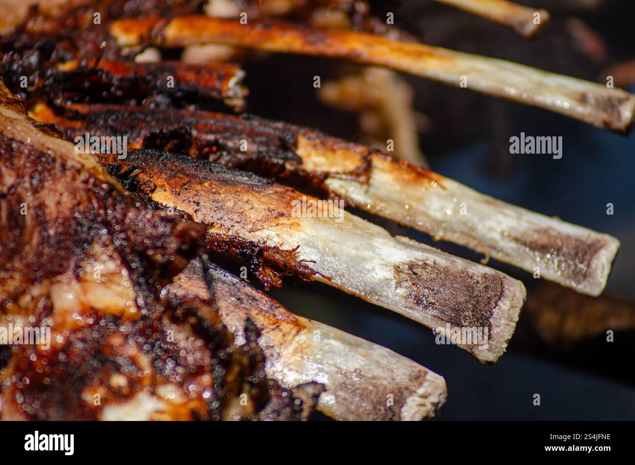 detail of the ribs of a roasted veal, food background concept Stock ...