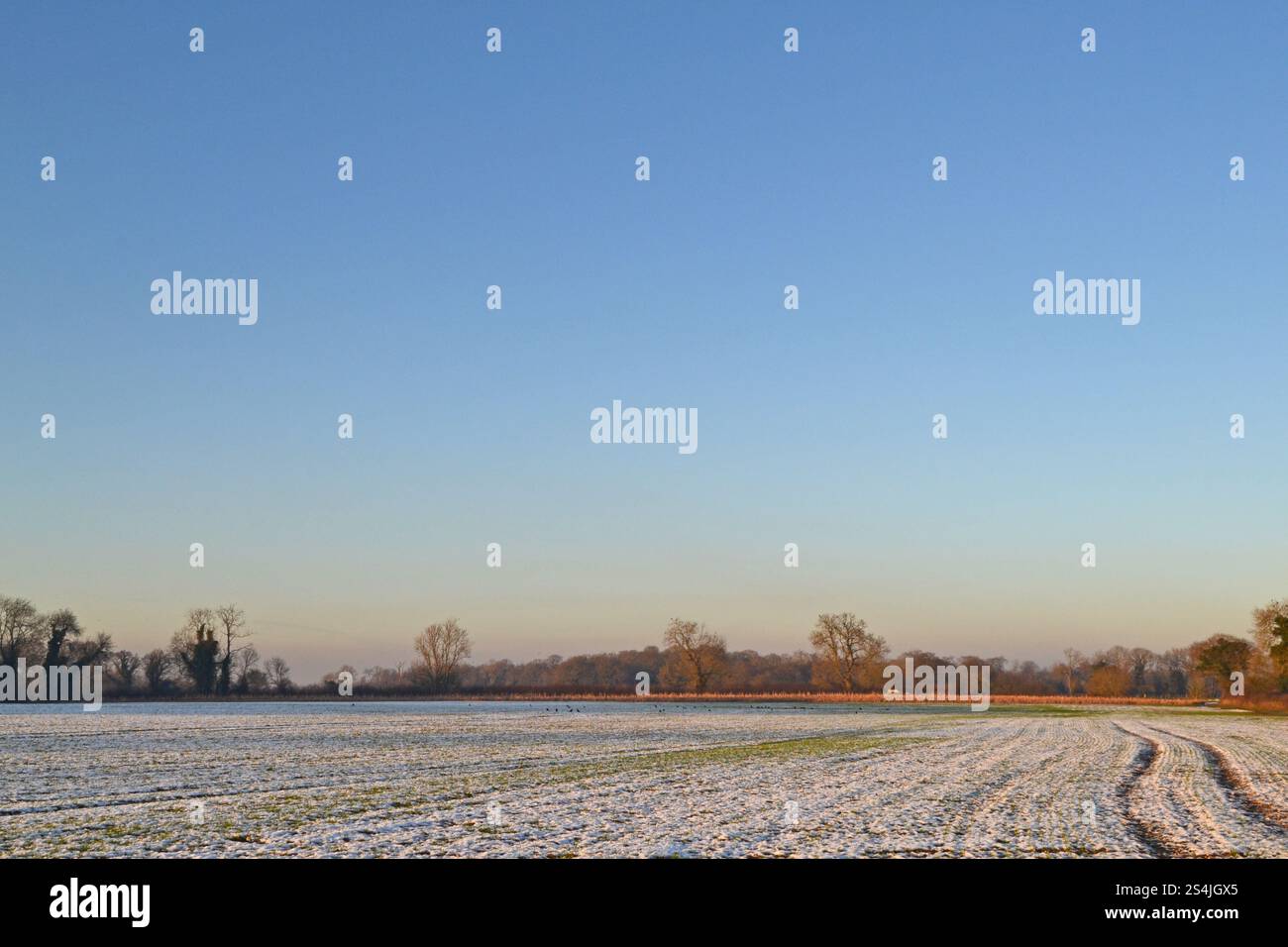 Wintry scenes in farmland on the North Downs high plateau east of Shoreham, Kent, in January ...