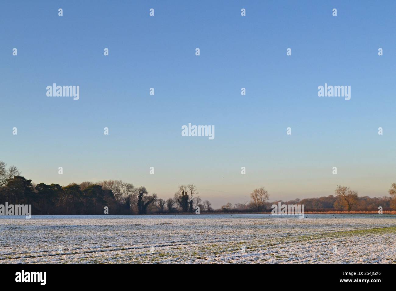 Wintry scenes in farmland on the North Downs high plateau east of Shoreham, Kent, in January ...