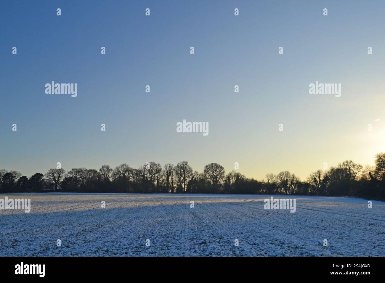 Wintry scenes in farmland on the North Downs high plateau east of Shoreham, Kent, in January ...