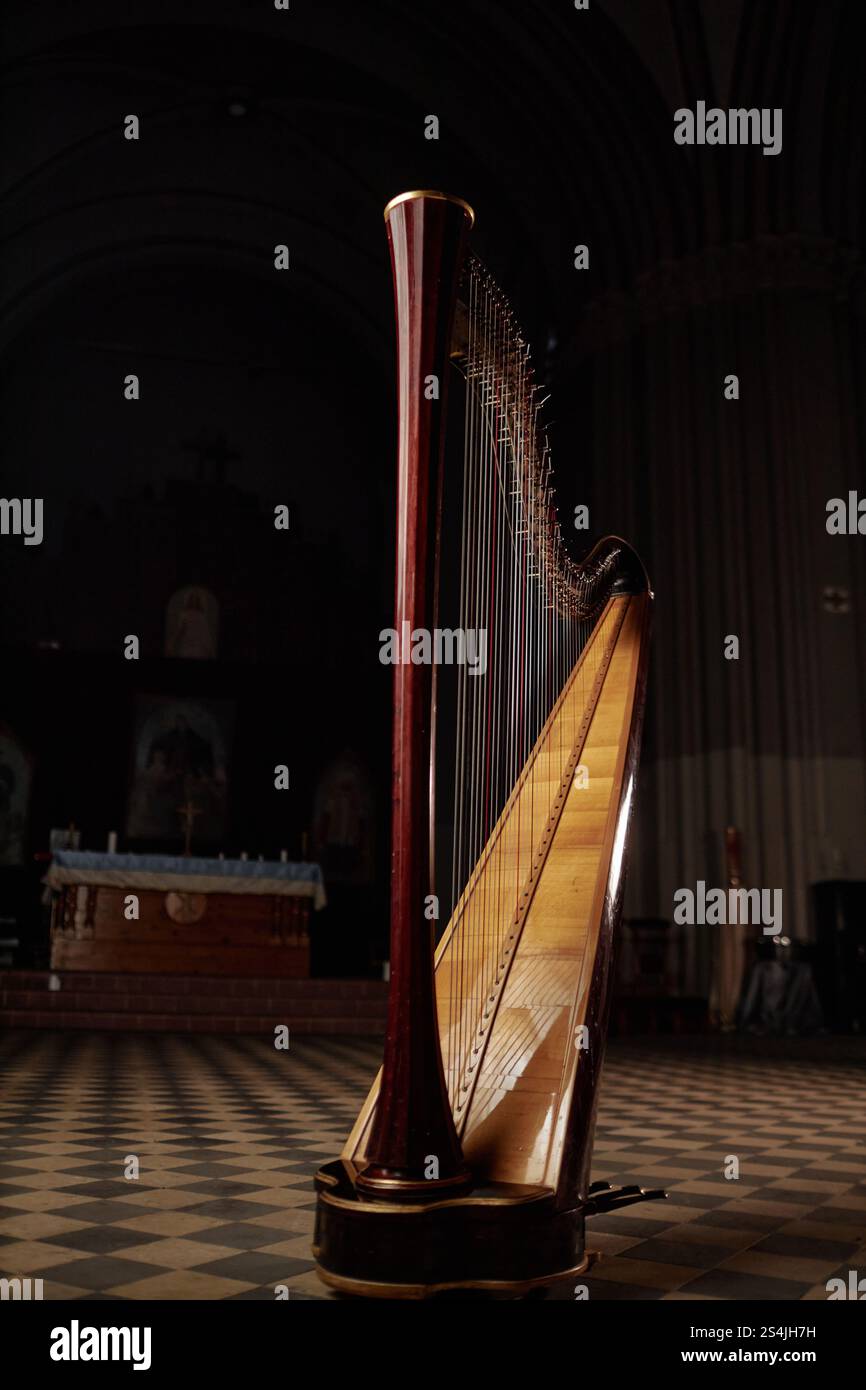 Vertical background shot of antique harp with elegant wooden frame ...