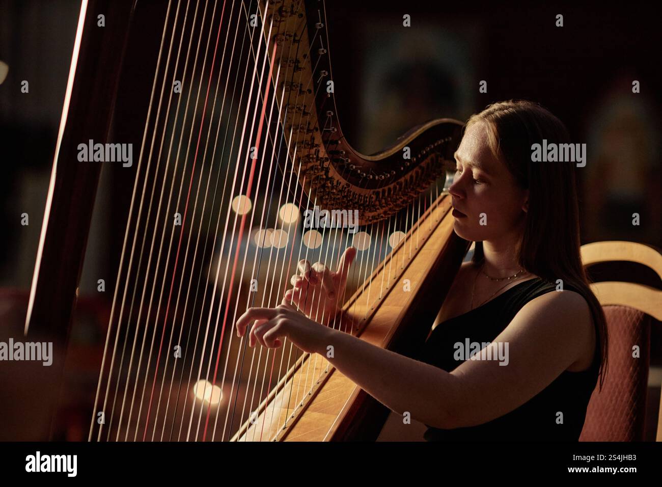 Chest up shot of concentrated young woman playing harp delicately ...