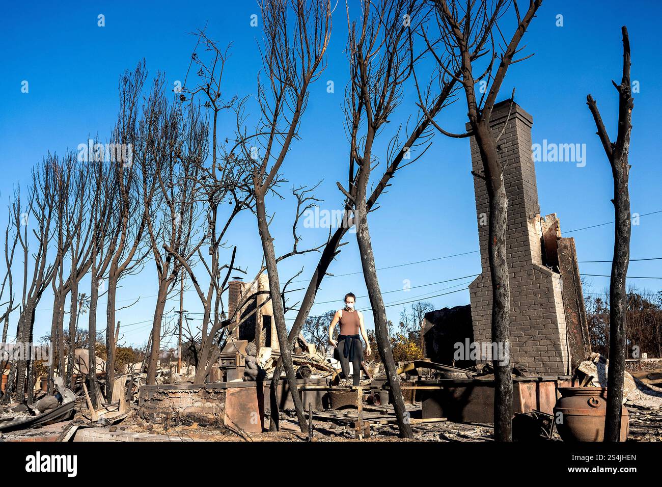Vee Ban searches for a missing cat among Pacific Palisades homes ...