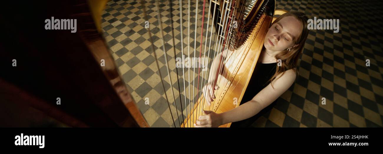 Website header shot of female musician playing harp softly plucking ...