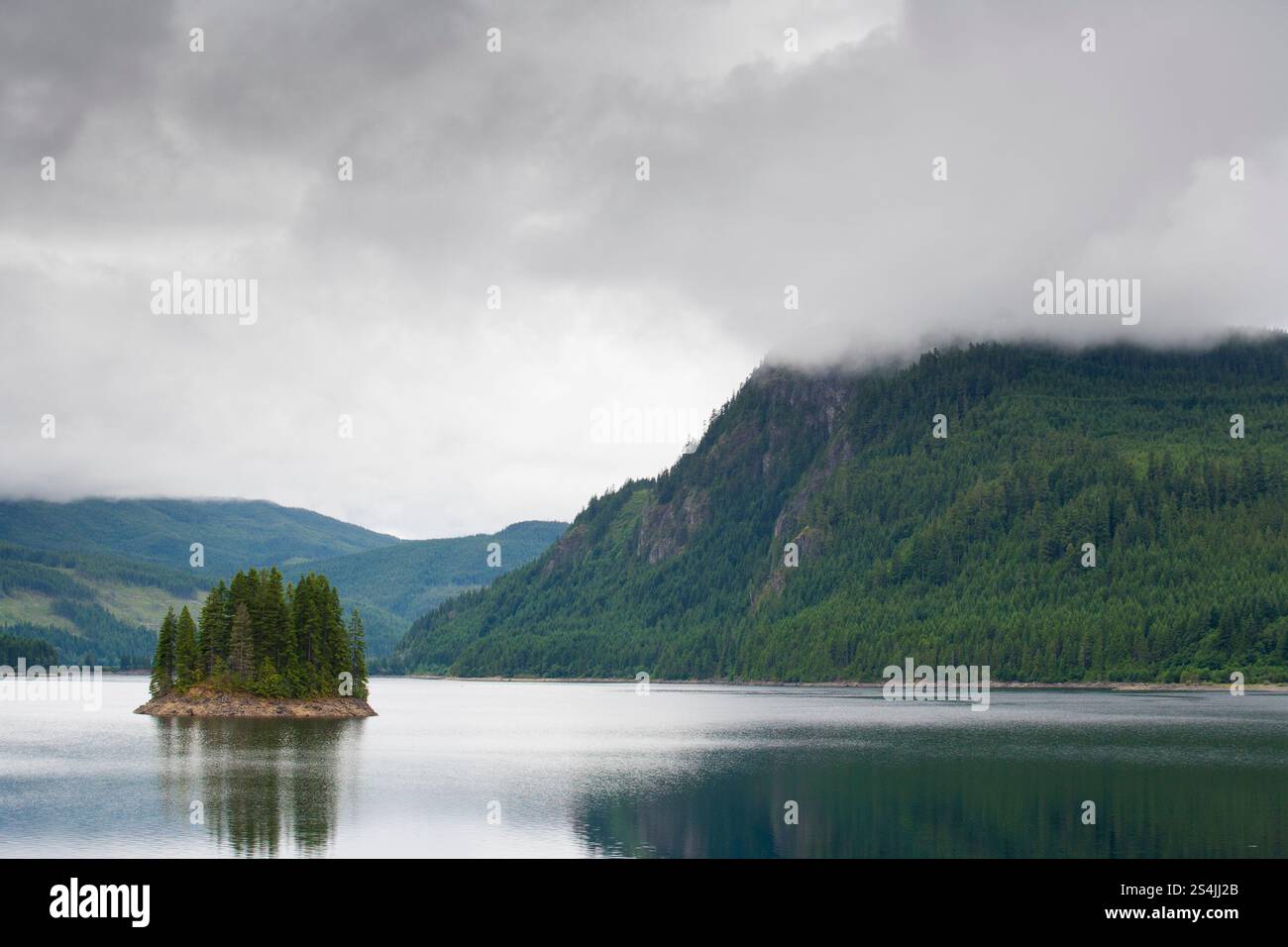 Lake in coastal forest hi-res stock photography and images - Alamy