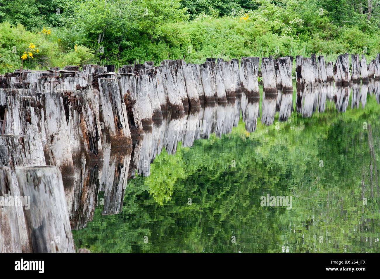 Pilings pier hi-res stock photography and images - Alamy