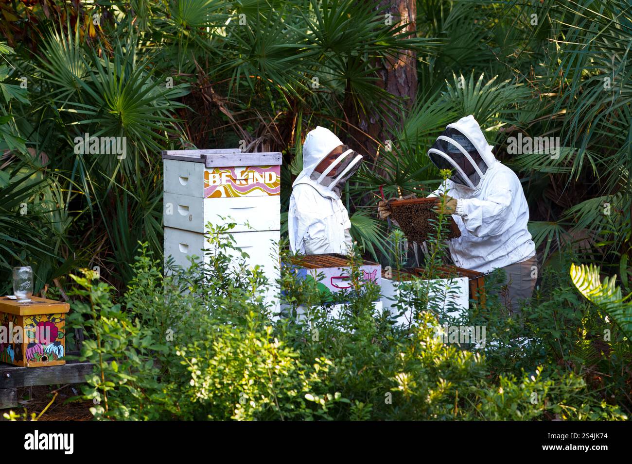Beekeeper in protective mask close hi-res stock photography and images ...