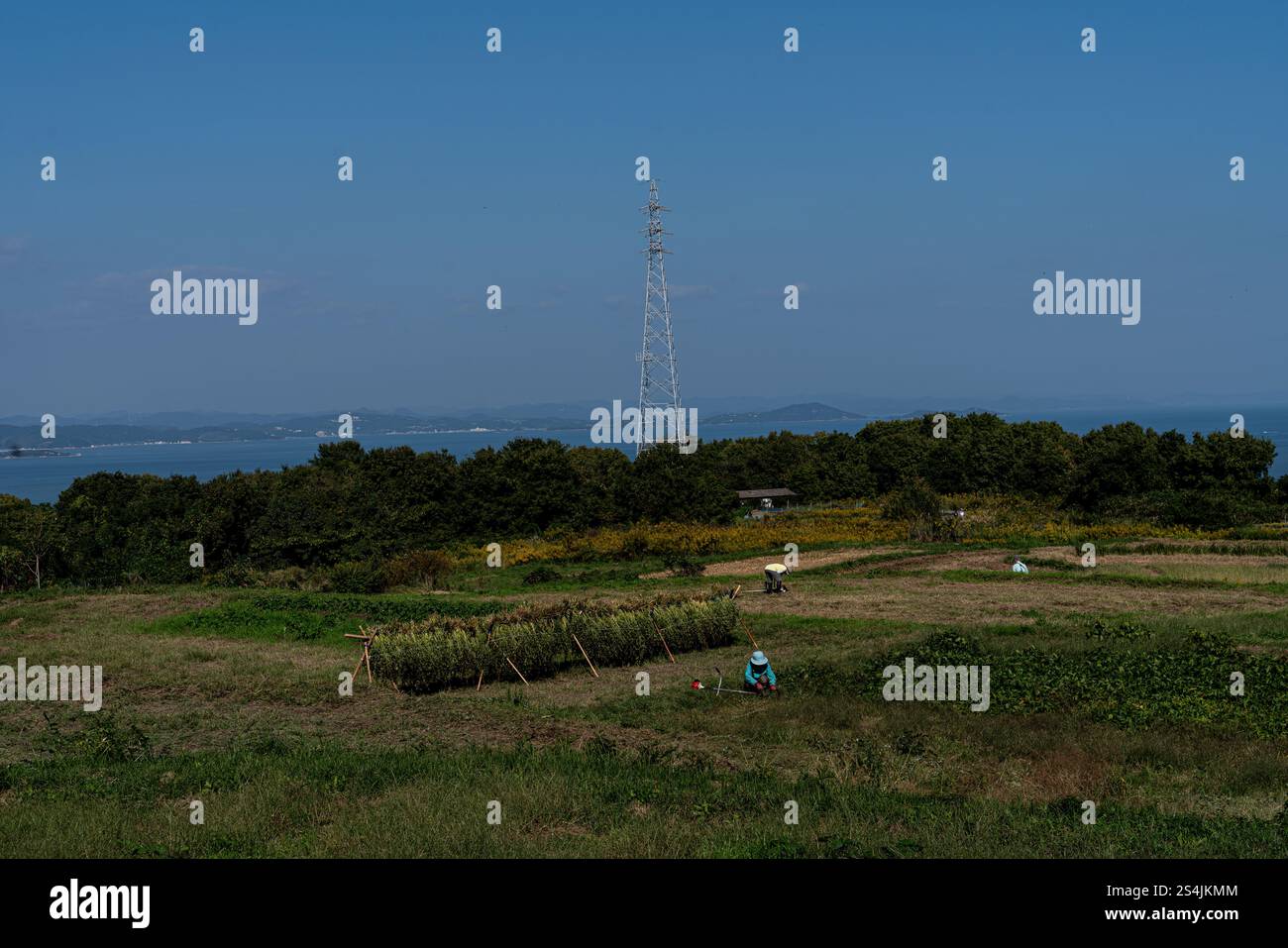 Teshima Island, on Seto Inland Sea in Japan Stock Photo - Alamy