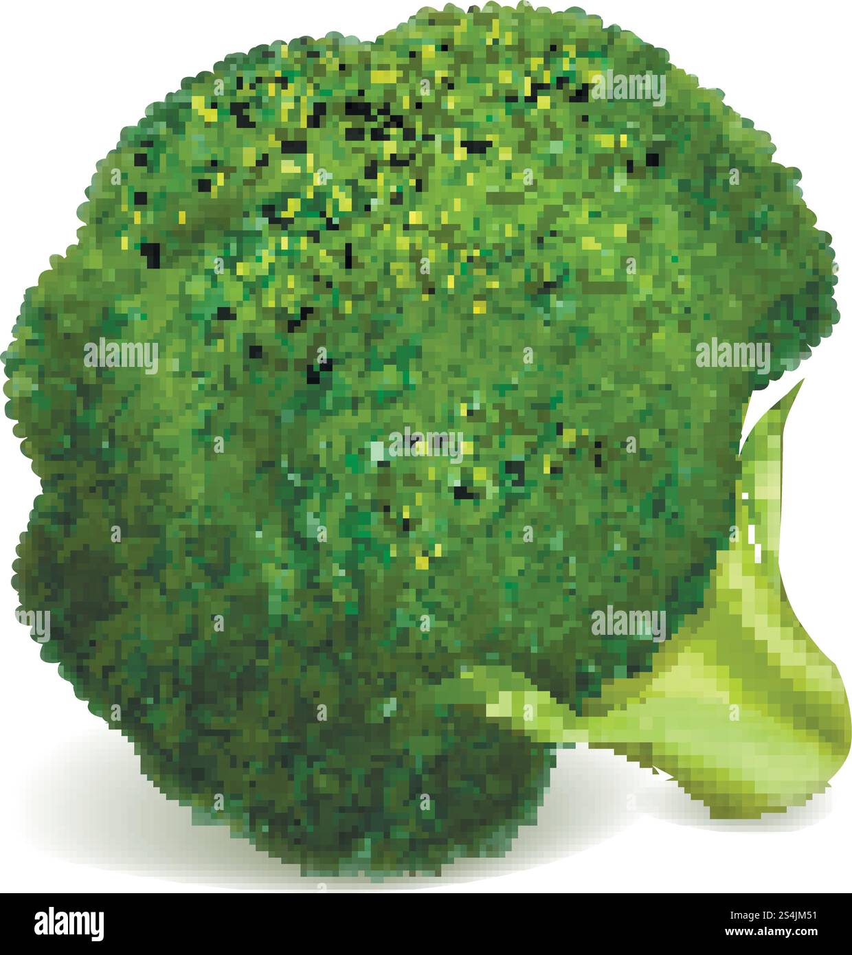 Green broccoli icon. Realistic illustration of green broccoli vector ...