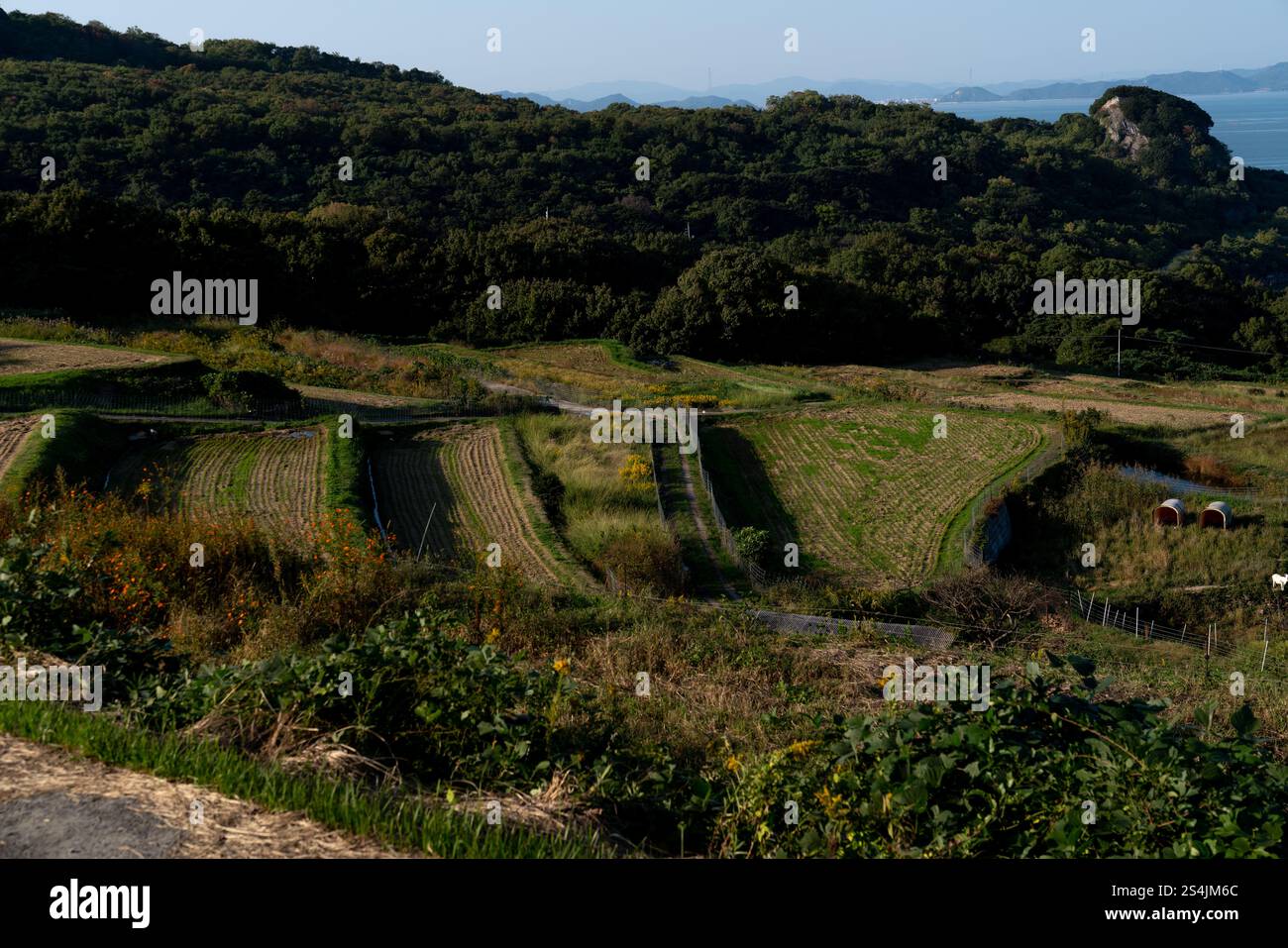 Teshima Island, on Seto Inland Sea in Japan Stock Photo - Alamy