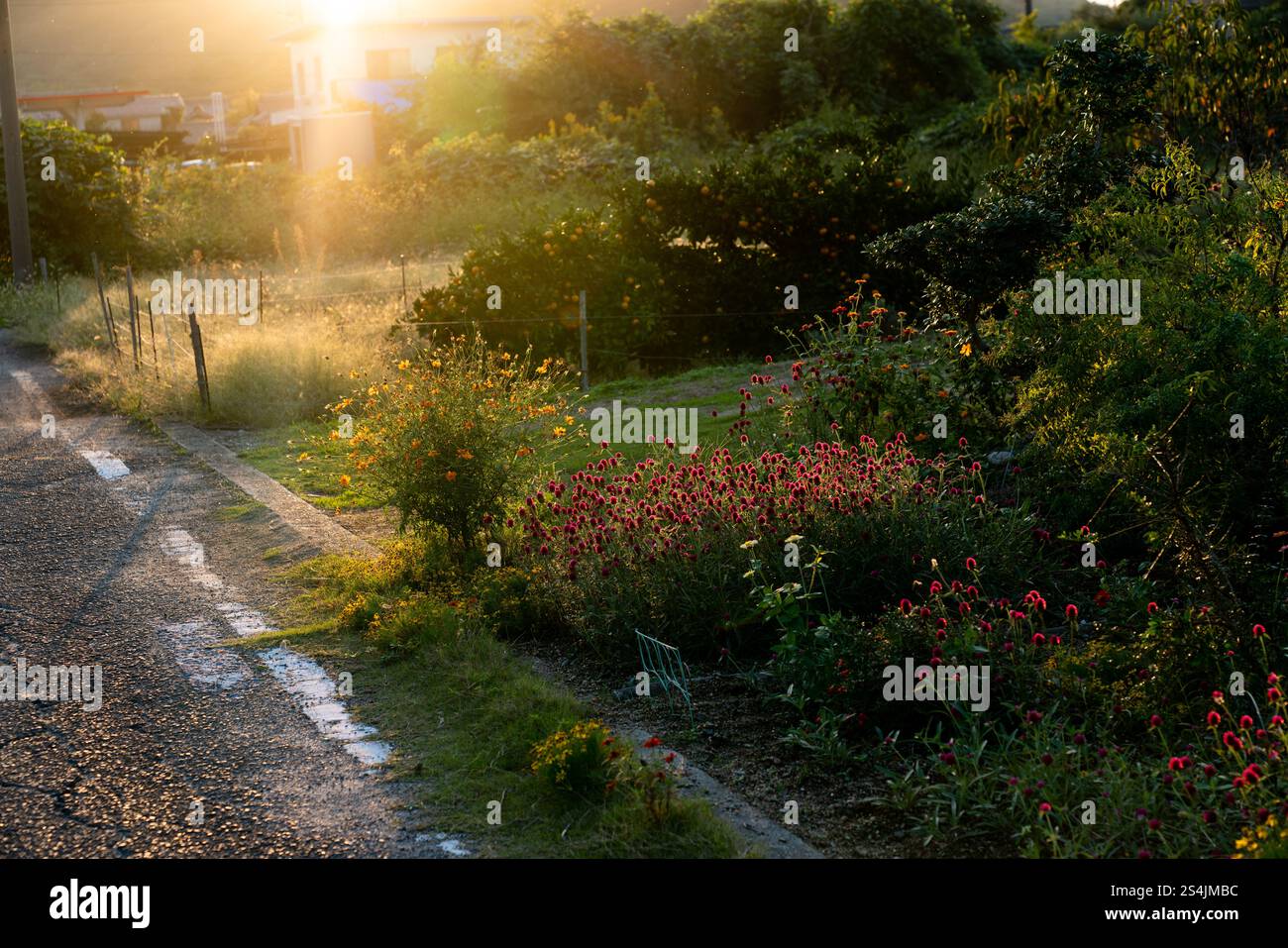 Teshima Island, on Seto Inland Sea in Japan Stock Photo - Alamy