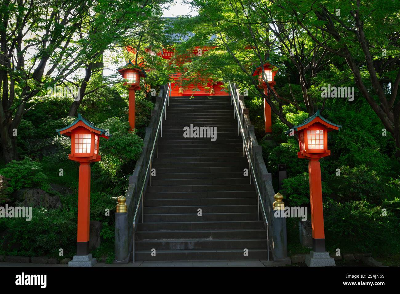 stairway with red lamps on 2 side lead to shinto shrine gate ...