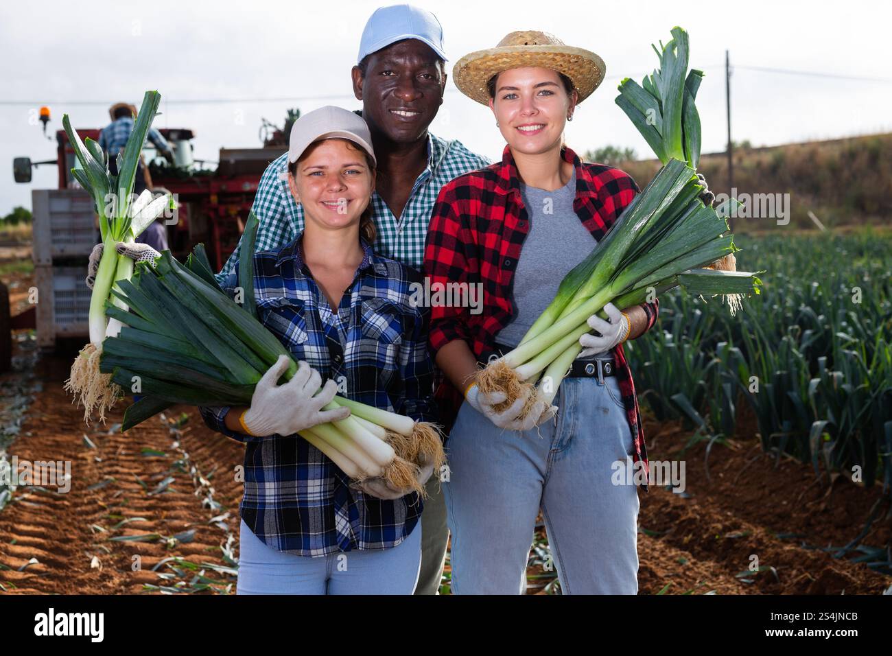 Male hands picking three ripe hi-res stock photography and images - Alamy