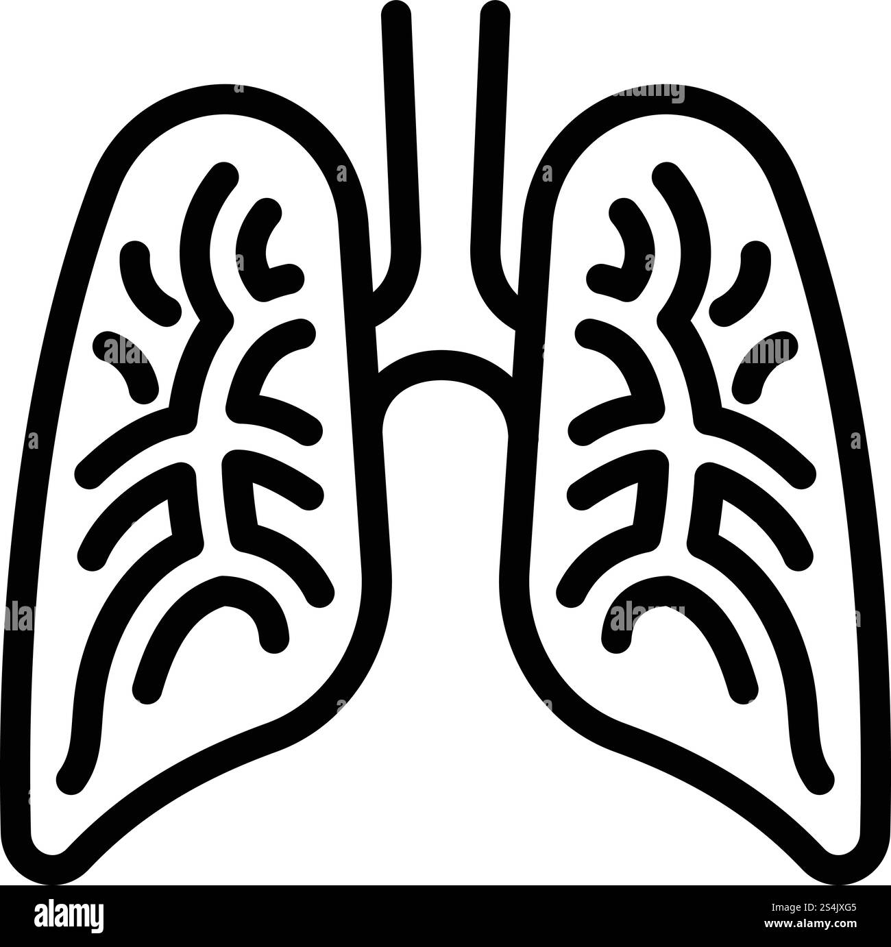 Human lungs icon. Outline human lungs vector icon for web design ...