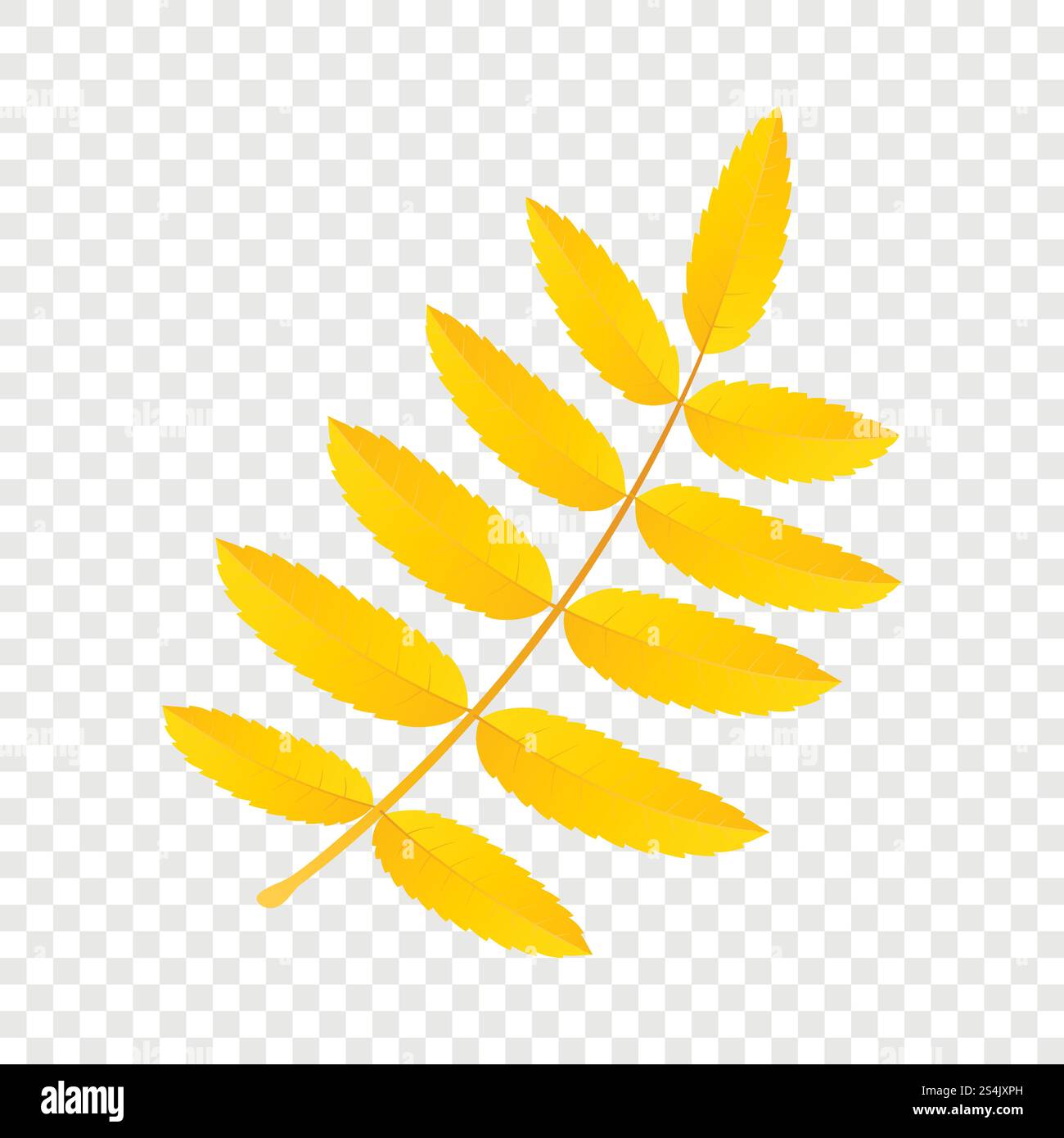 Yellow rowan leaf icon. Flat illustration of yellow rowan leaf vector ...