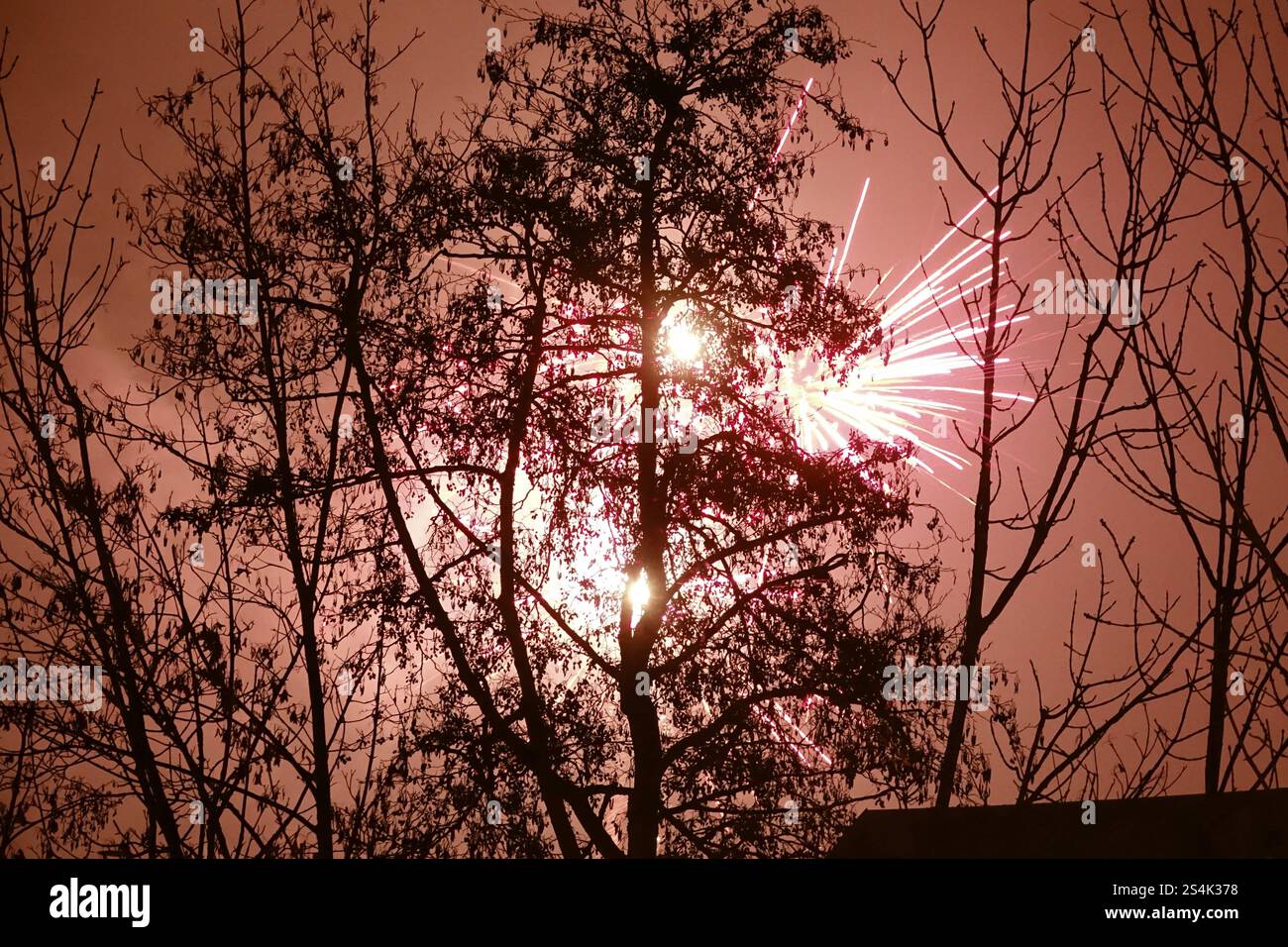 New Year's Eve fireworks, Germany, Europe Stock Photo - Alamy