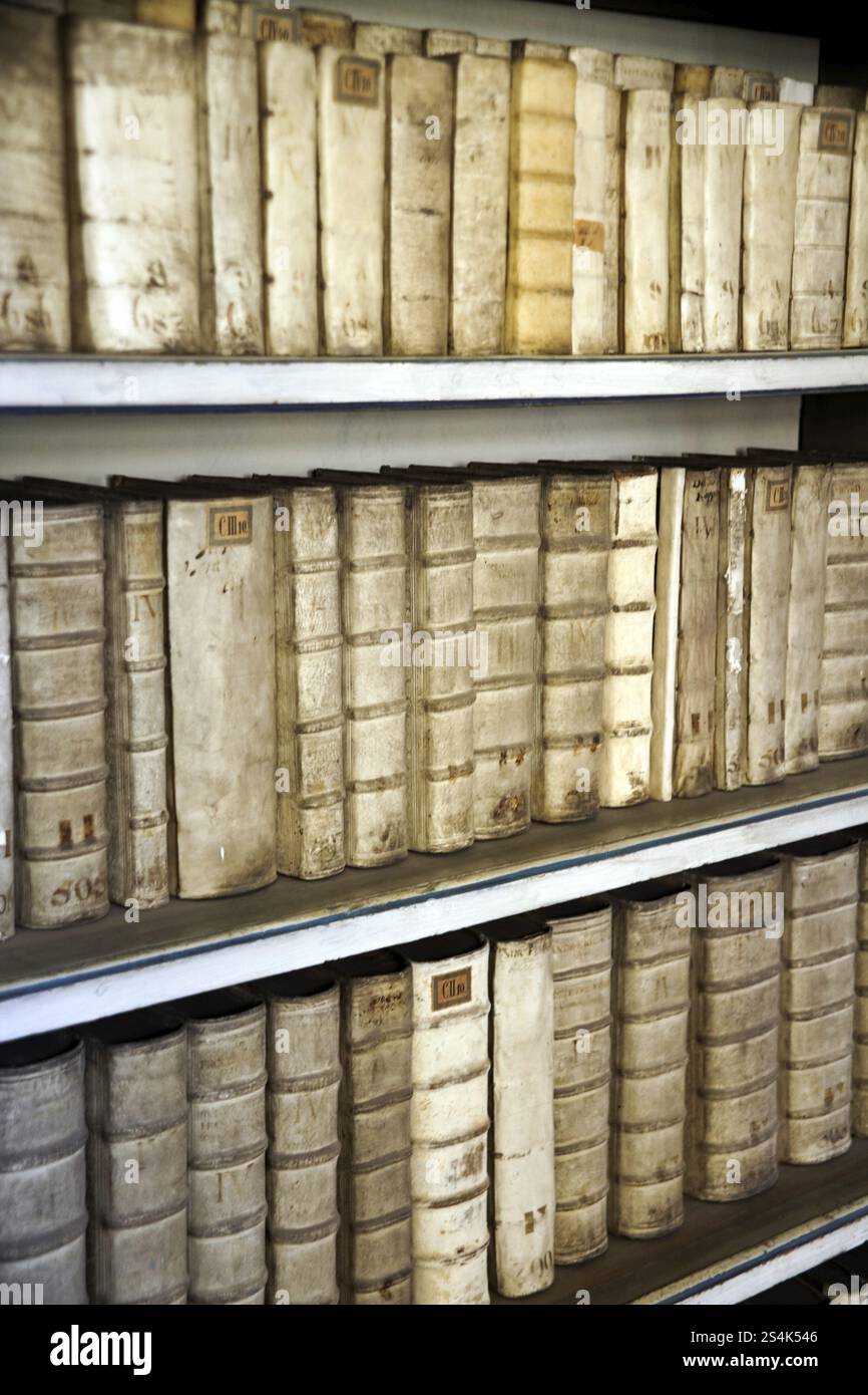 Very old books in a library, Austria, Europe Stock Photo - Alamy