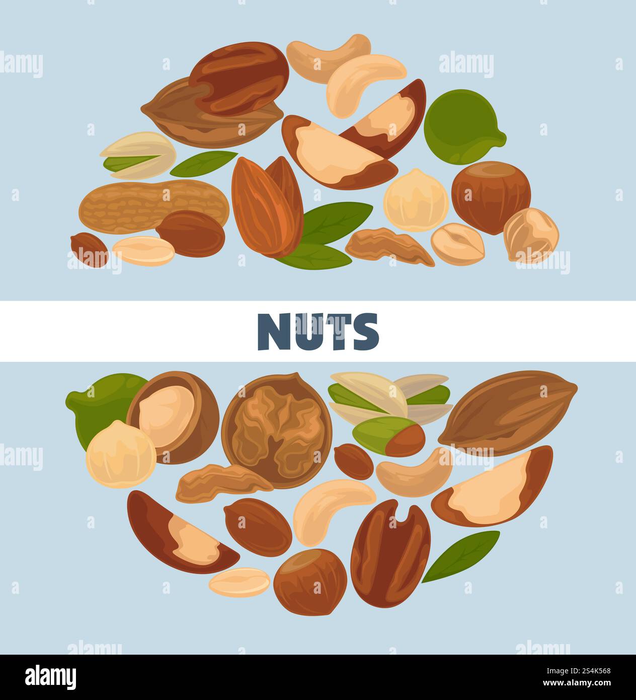 Delicious nutritious nuts advertisement banner with italic sign inside ...