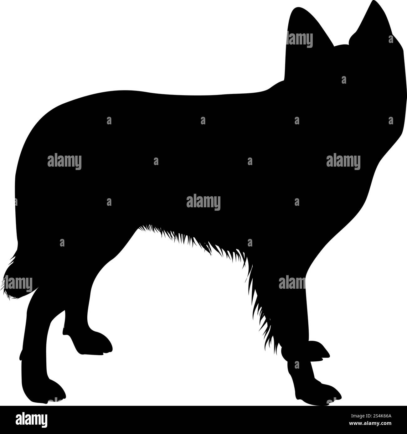 Dutch Sheep Dog Silhouette. Smooth Vector Illustration Stock Vector ...