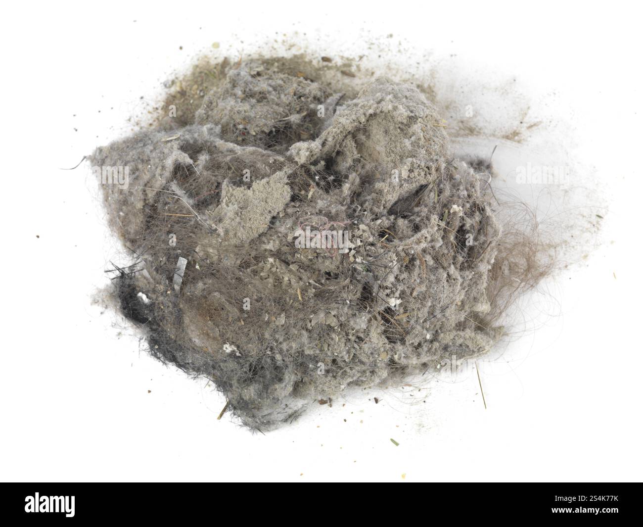 Pile of dust and hairs collected with a vacuum cleaner isolated on ...