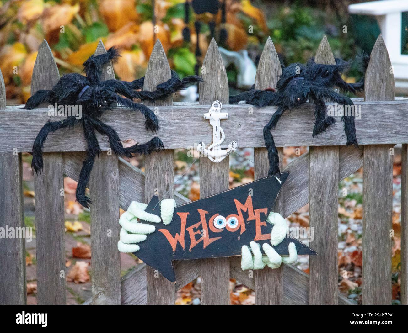 Historic Wickford, RI. Oct. 30, 2024. Fall and Halloween scenes while ...