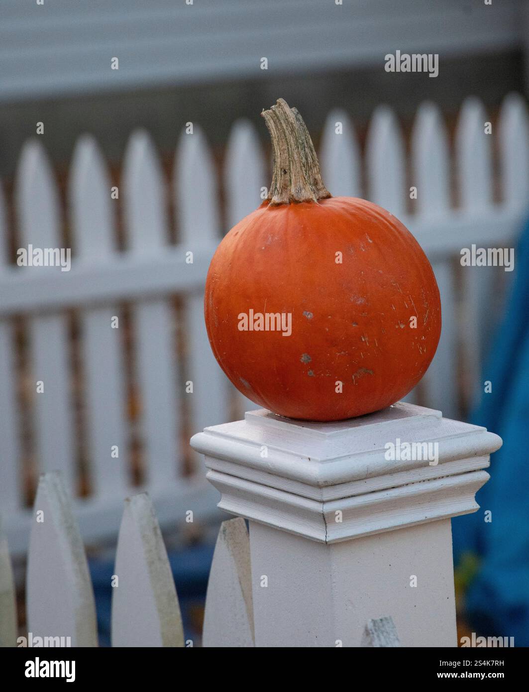 Historic Wickford, RI. Oct. 30, 2024. Fall and Halloween scenes while ...