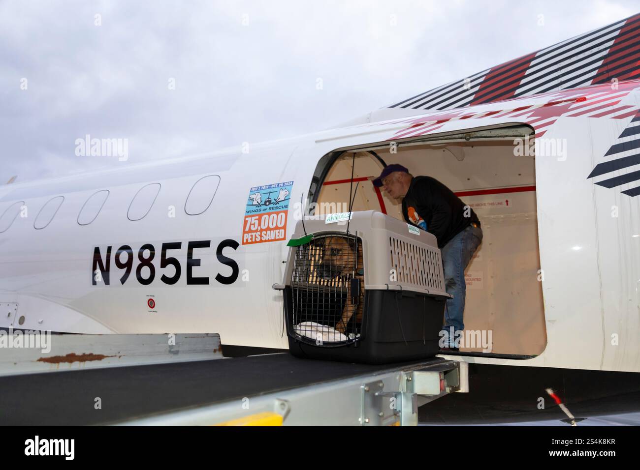 Seattle, Washington, USA. 12th January, 2025. Ric Browde, CEO of Wings ...