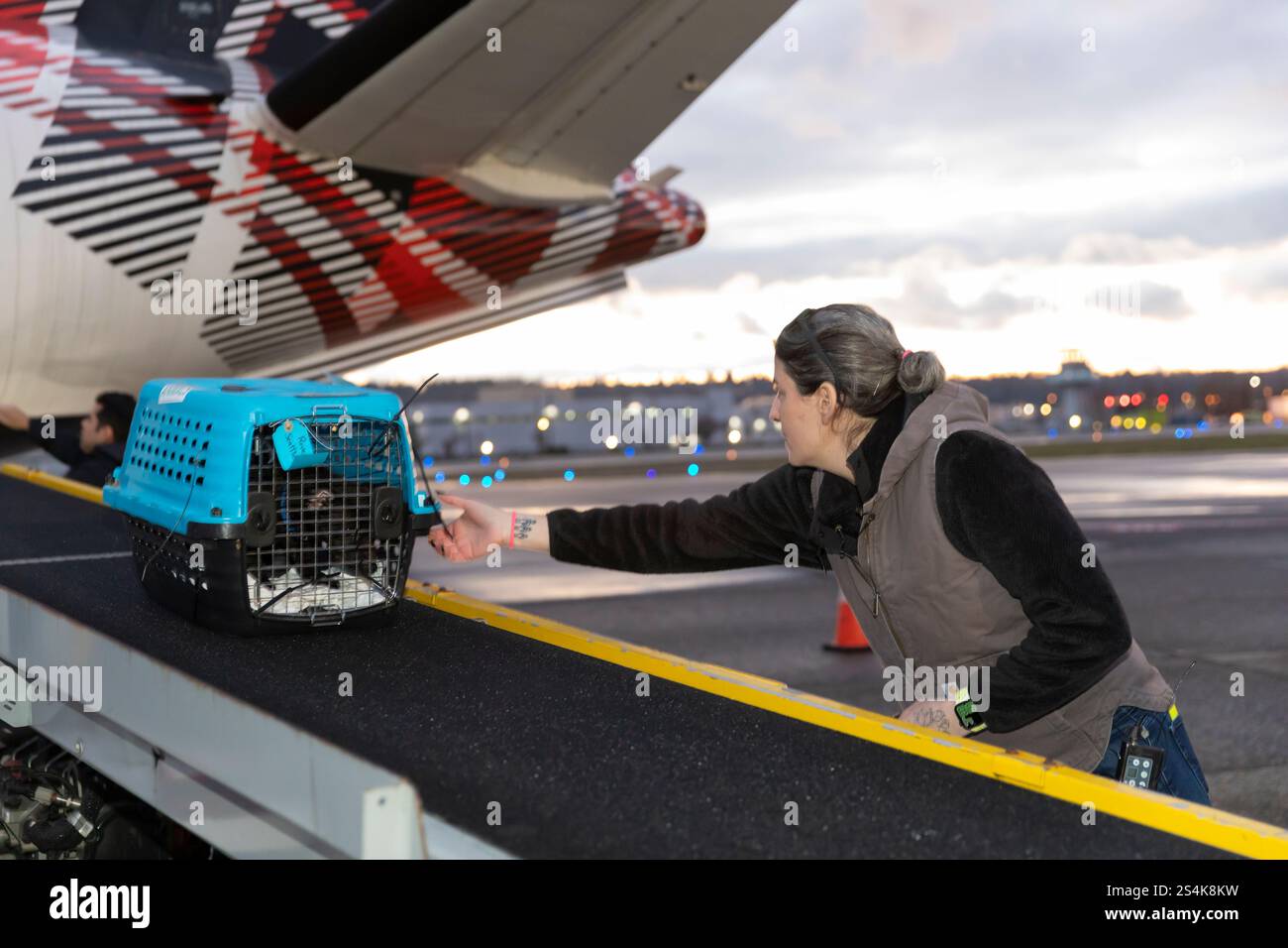 Seattle, Washington, USA. 12th January, 2025. A staff member with ...