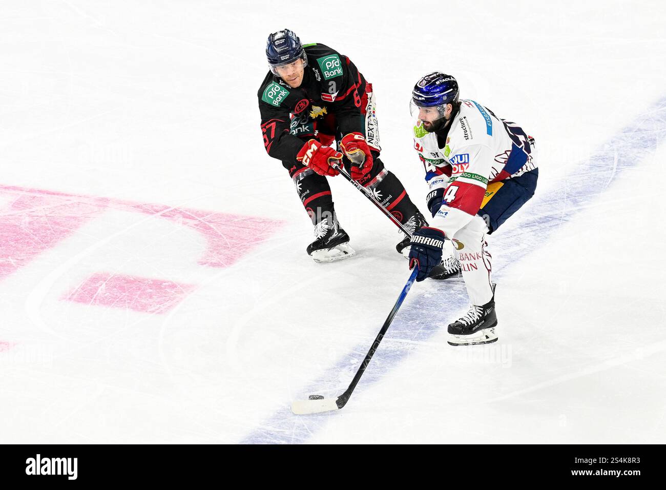 Eishockey DEL - 24/25 - 36. Spieltag: Düsseldorfer EG vs Eisbären Berlin am 12.01.2025 im PSD ...