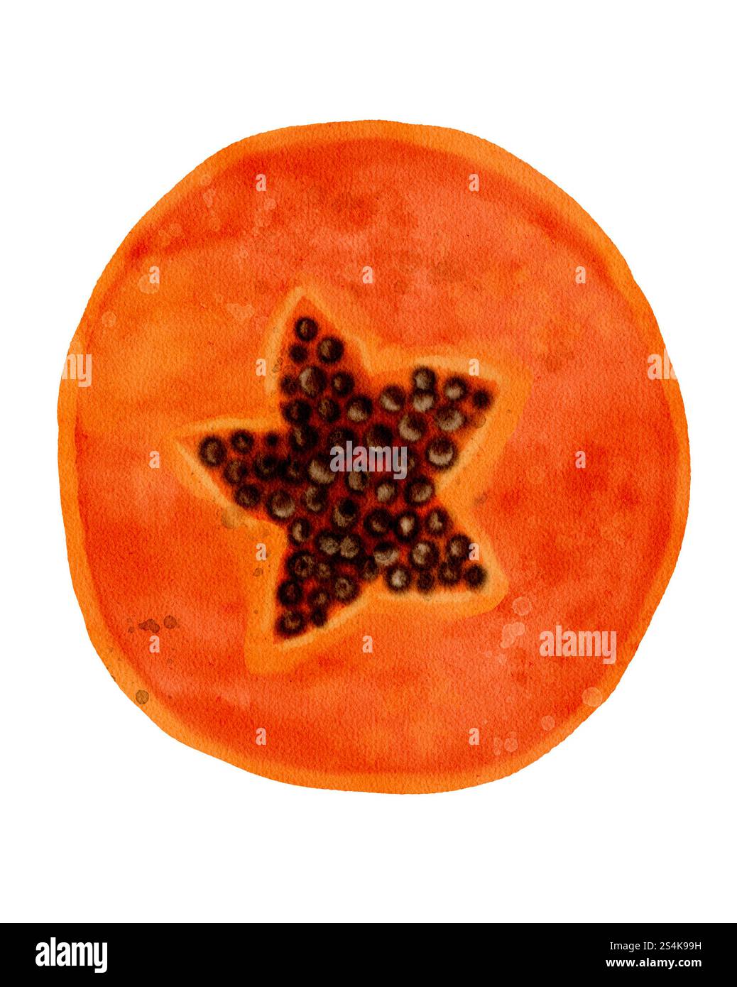 This is a vibrant starshaped slice of ripe papaya, showcasing its ...